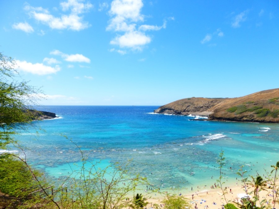 Aloha, Mahalo und Hula: Mein kleines Hawaiianisch-Wörterbuch